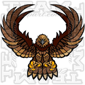 Hawk Wings Image. Modifiable Vector Format.